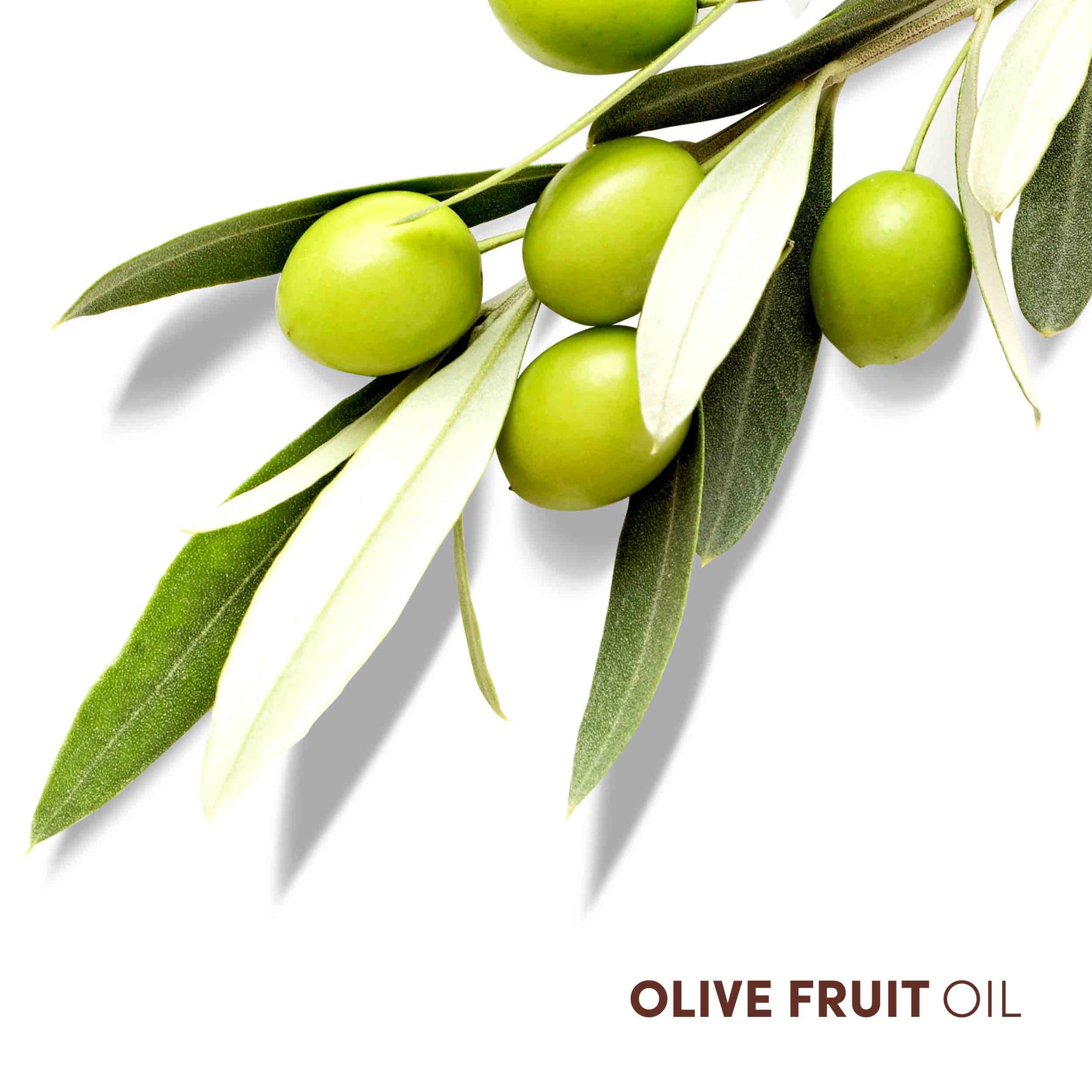 MIZANI ≡ La marque professionnelle experte des cheveux texturés moins ...